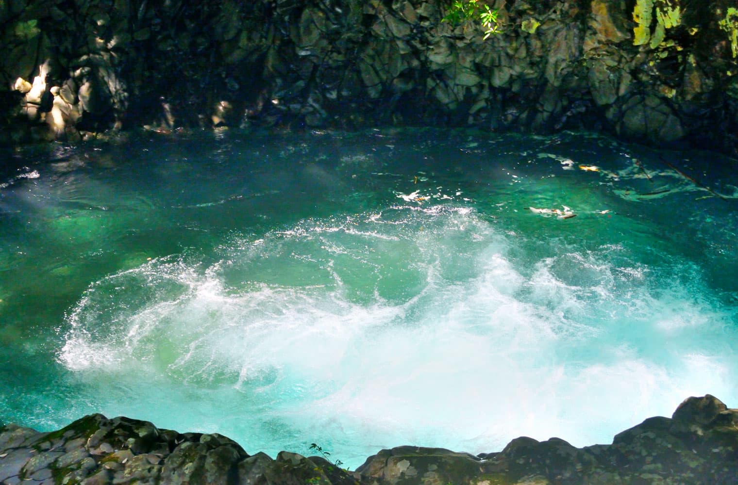 Kawazu Tourist Association [Official Website] An onsen resort renowned ...